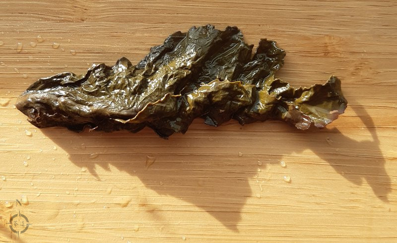 Gui Fei | Northern Teaist